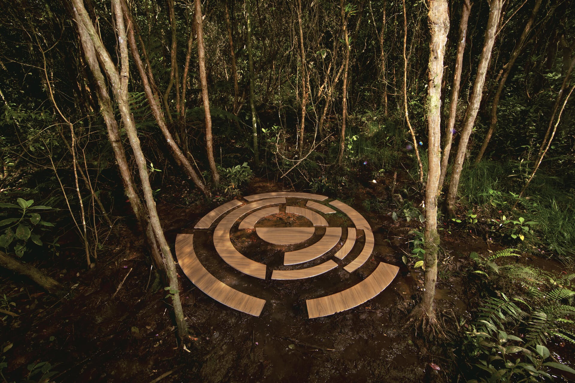 Colecciones Itawa - Primadera